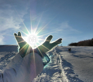 HIGNA – The Highlands & Islands Groups of NA – Online NA Meetings